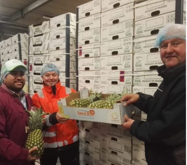 Exportación directa de piña panameña llega por primera vez a de ...