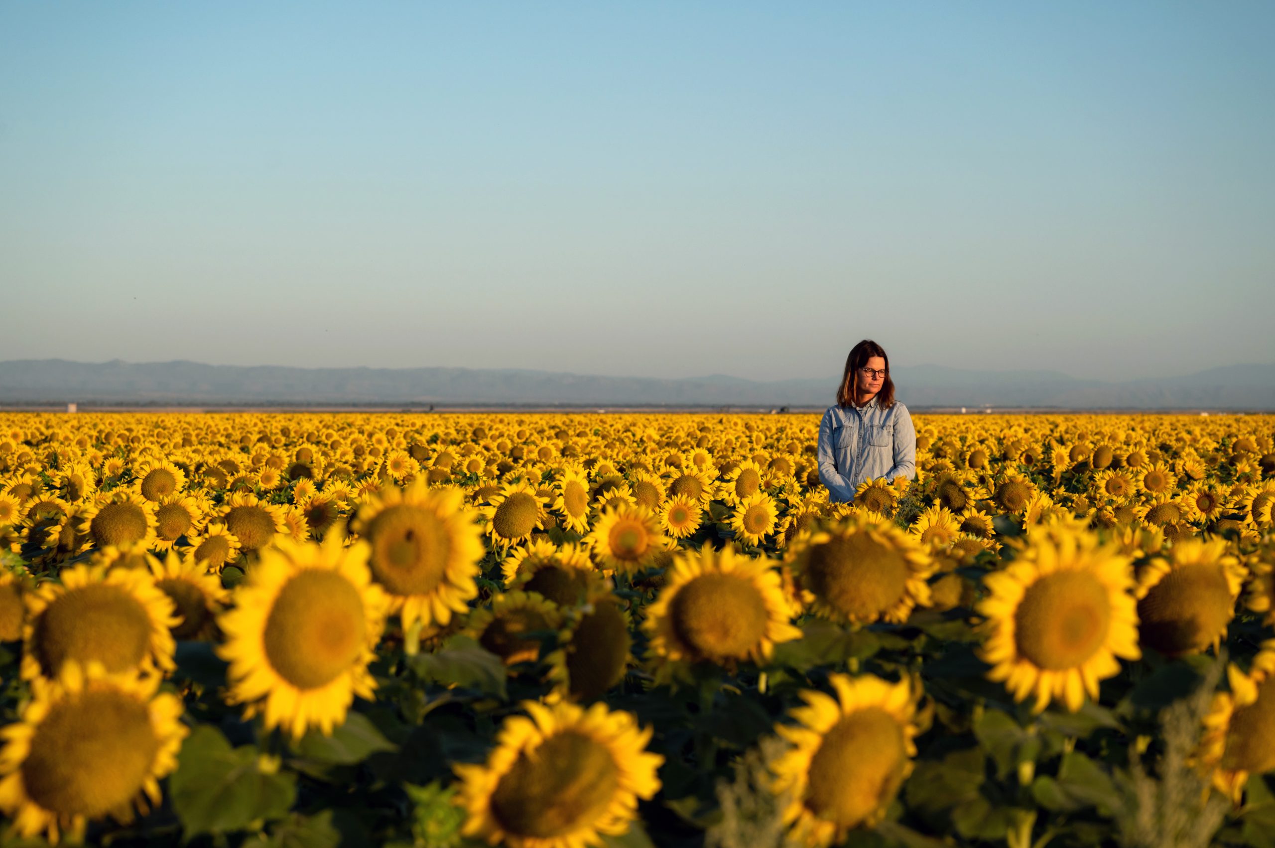 Son los campos de cultivo más fértiles de Estados Unidos, pero ¿qué son ...