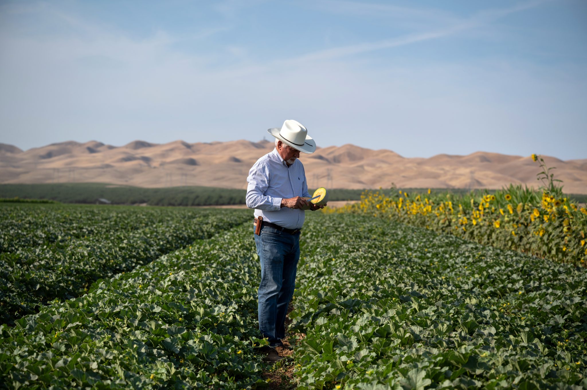 Son los campos de cultivo más fértiles de Estados Unidos, pero ¿qué son ...